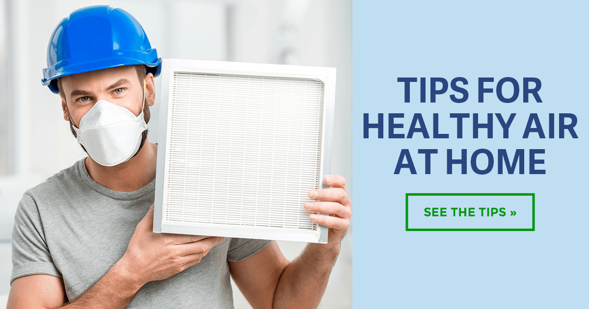How To Keep Air Healthy In Your Home | I Want Smart